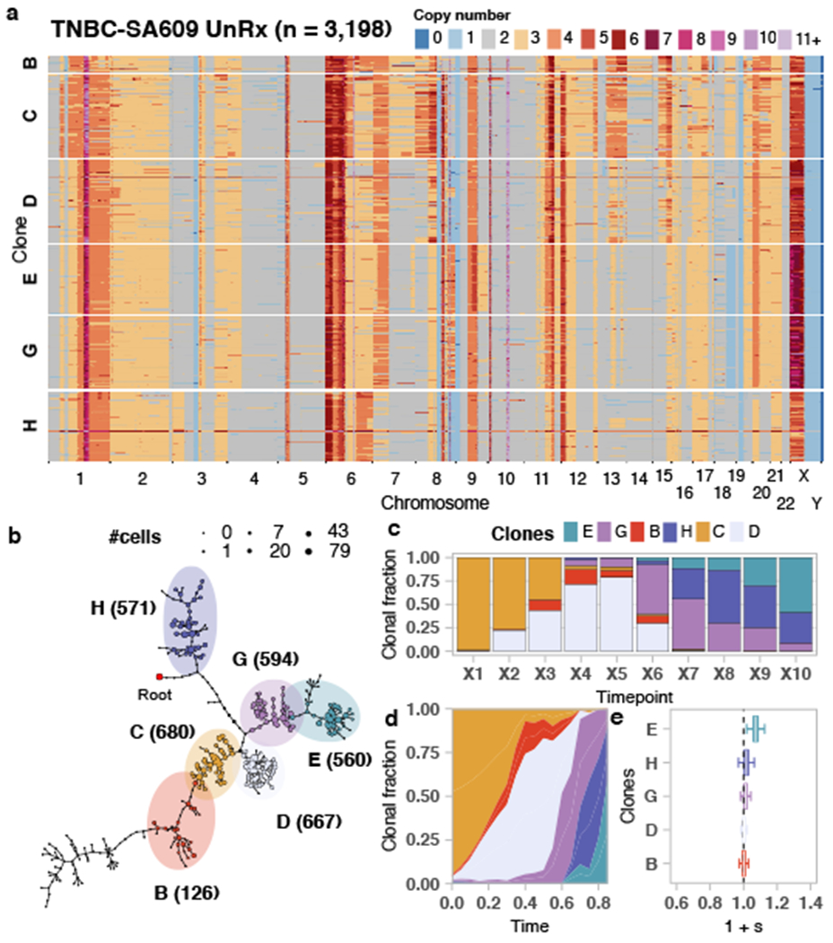 Model evolution of single-cell cancer genomes | Saifuddin Syed